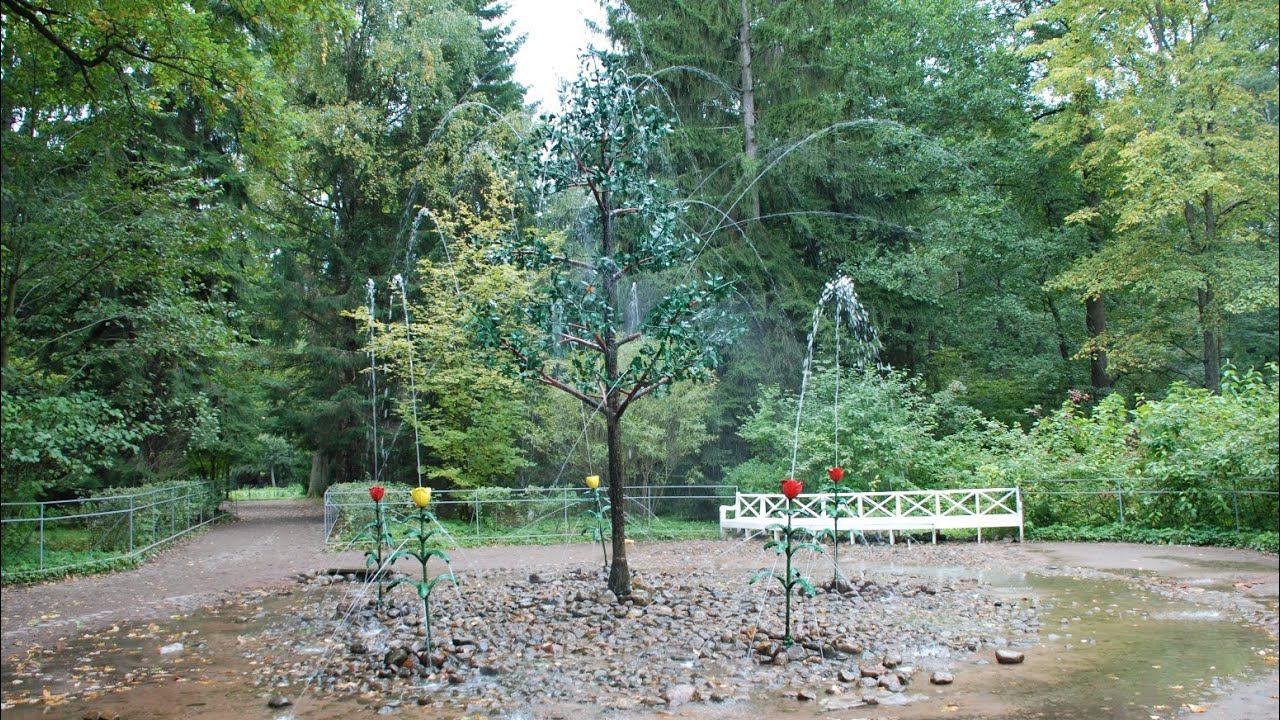 Петергоф: фонтан-шутиха "Дубок", часть 1