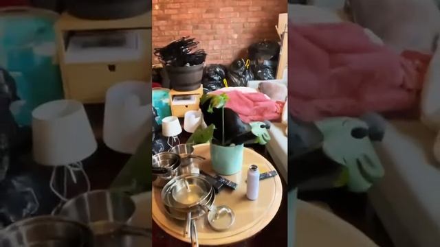 Поливаем цветочки