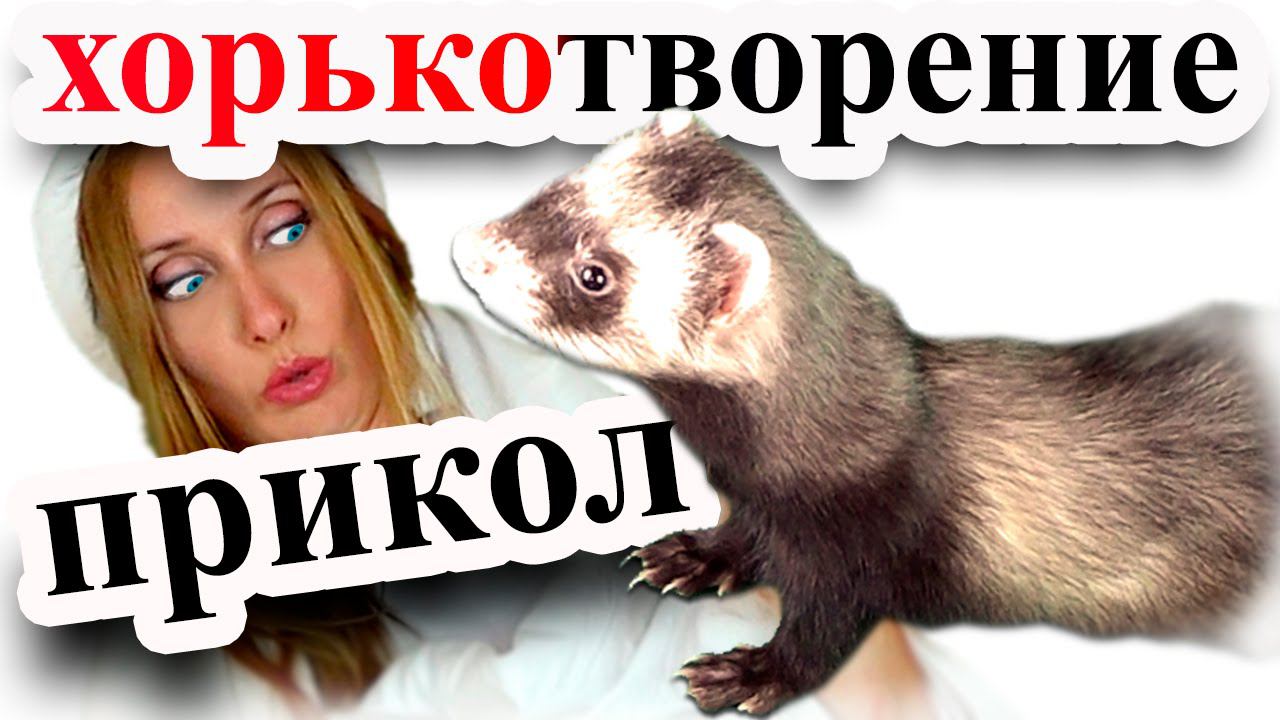 ХОРЕК ПРОТИВ