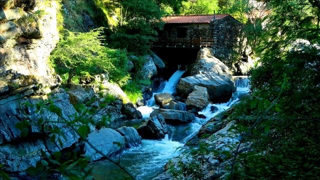 Решив женится, готов ли ты...?#стихи,#литература,#Пенза