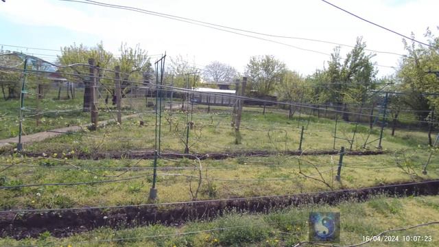 Весна шагает по Кубани