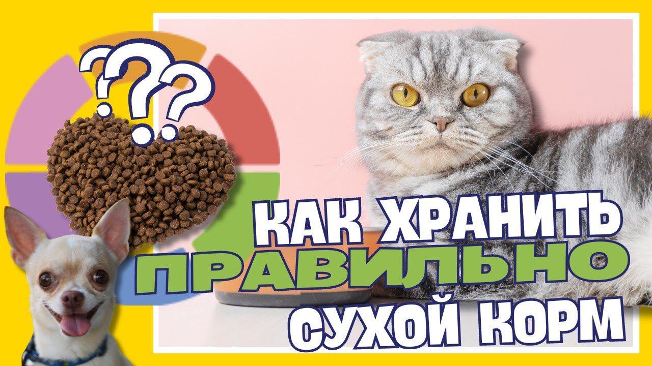 Лучший способ хранить корм безопасно