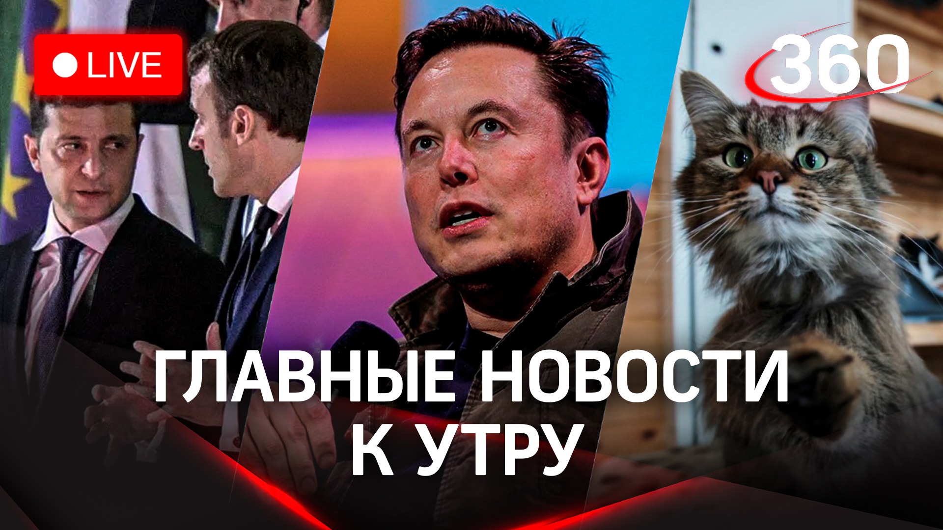 Маск за Крым. Глава ЗАЭС связан с СБУ. Питомцев мобилизованных в приют, священные книги - в войска