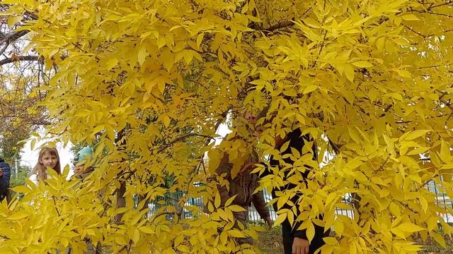 День Учителя 2021 г.