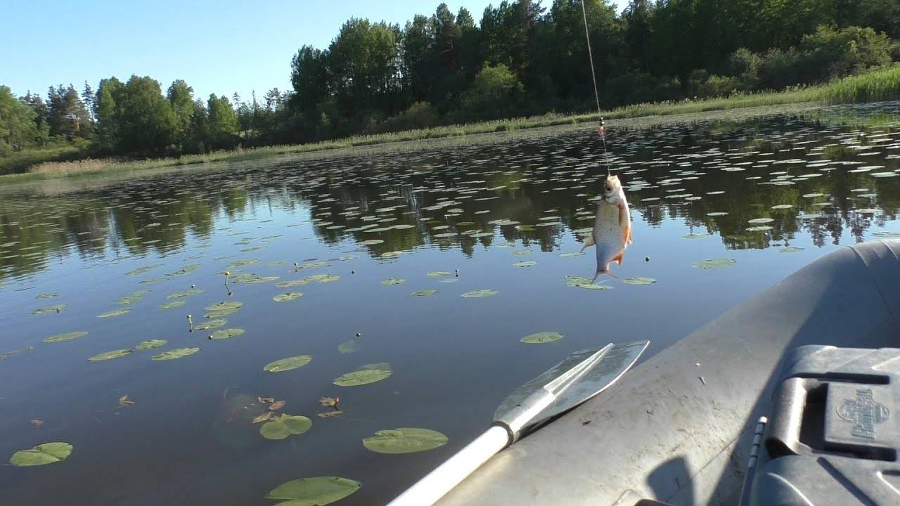 Рыбалка на кружки и жерлицы #1