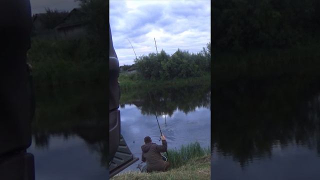 Когда Теща сильно переживает, она такого наговорить может. Юмор.