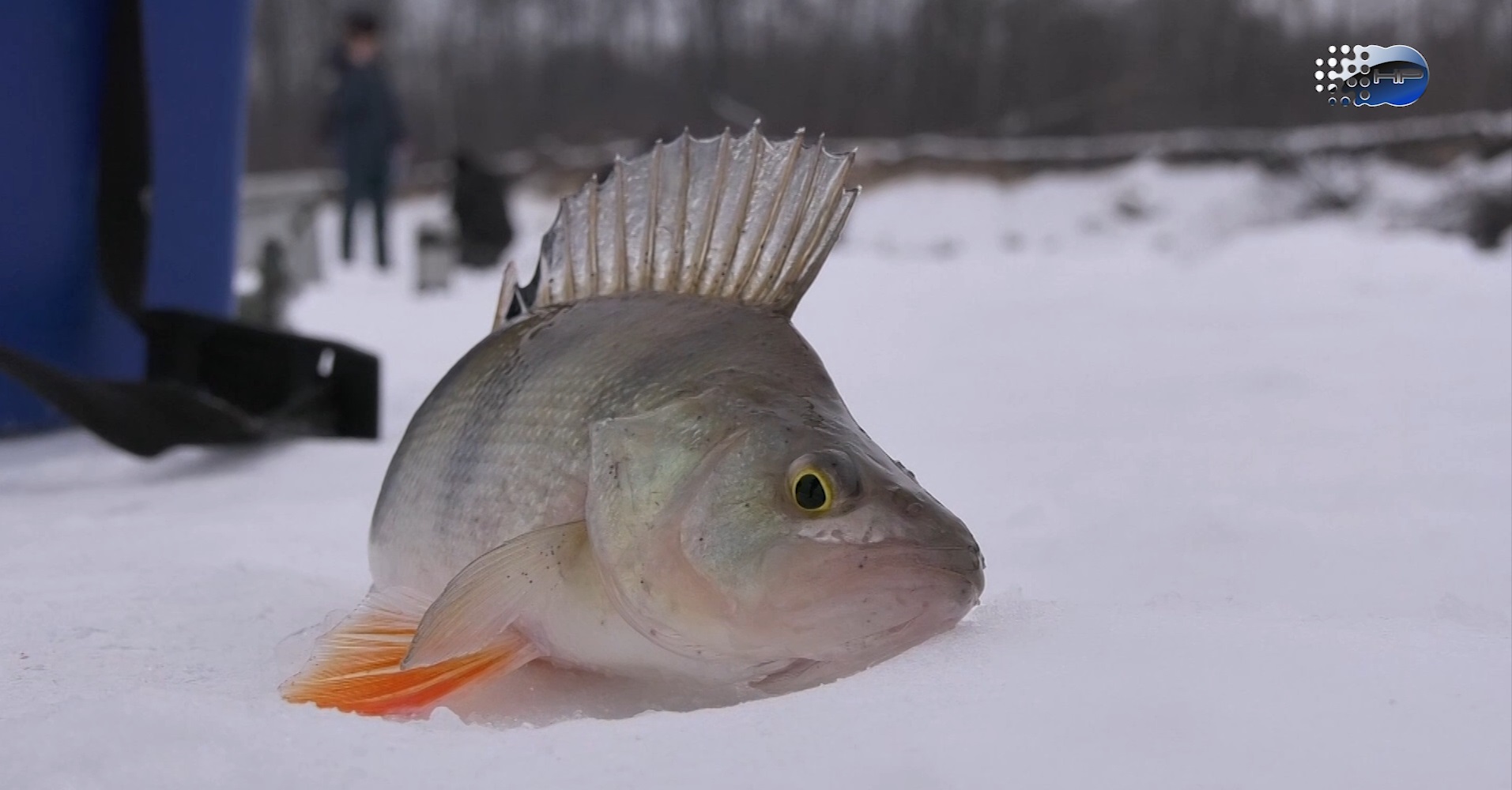 "События недели" от 28 января 2023 года г.Шумерля Новая реальность