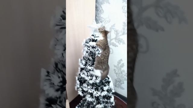 НАКА?ВЕРНИТЕ МЕНЯ В СССР