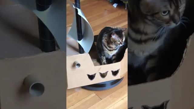 Свистать всех наверх