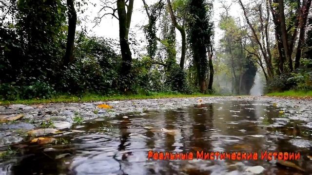 Красивая музыка в мрачную погоду