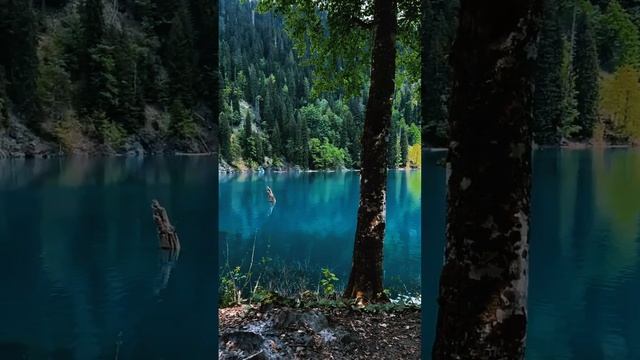 Озеро Рица * Абхазия #Shorts