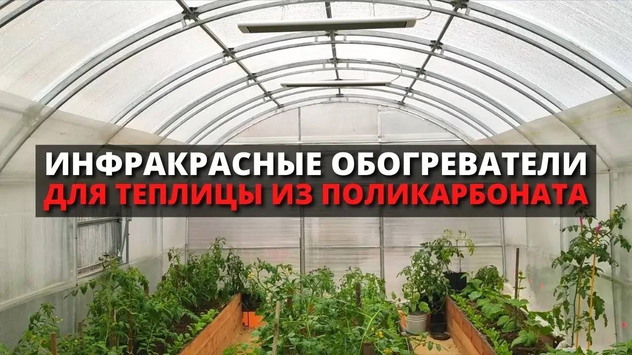 Обогрев теплицы инфракрасными обогревателями