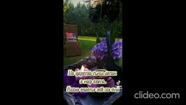 день  понедельника