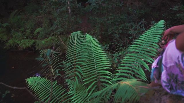 Пилигрим-Водоем.mp4