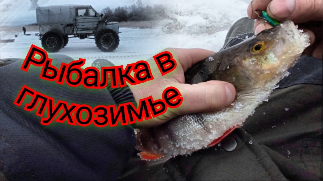 Рыбалка в глухозимье .Этот балансир сделал всю рыбалку.