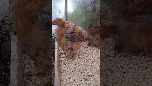 Как не замёрзнуть.