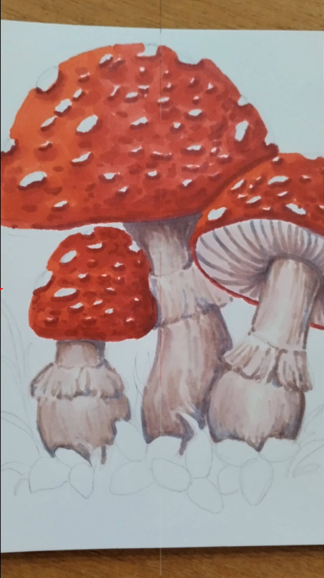 Рисуем мухомор спиртовыми маркерами. Новая пошаговка уже в Дзен. Ищи @KumihoLia