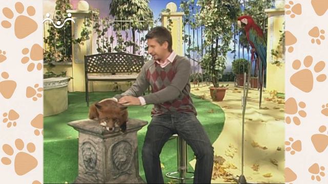 Лапы, крылья и хвосты. 39-й Выпуск. Про животных из русских сказок