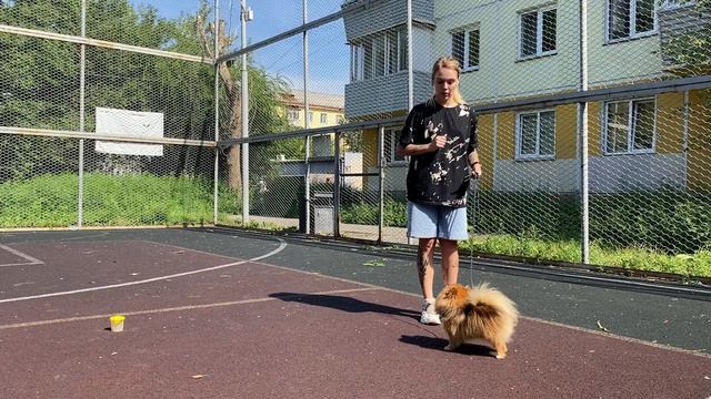 3. Начать поиск, закончить поиск. Ноузворк