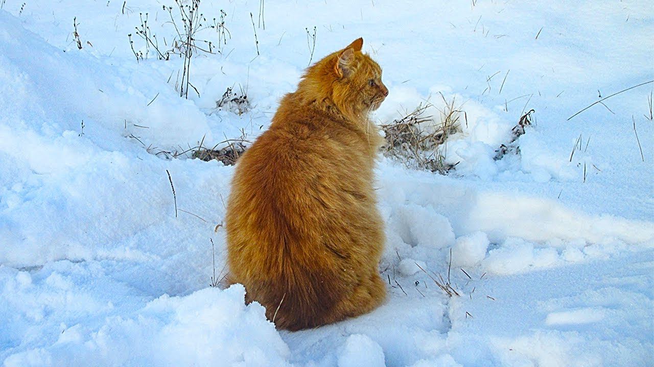 В прятки Светланка Я нашёл тебя от меня не спрячешься