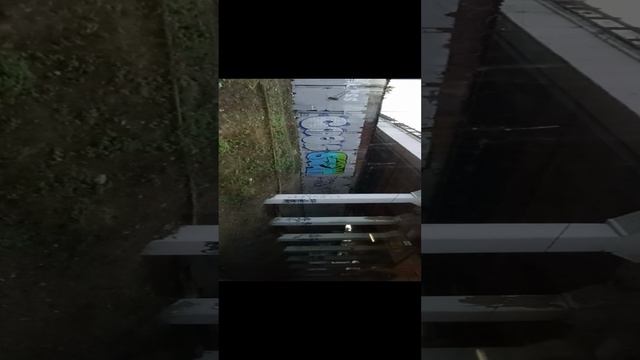 VID_20220917_144701.mp4