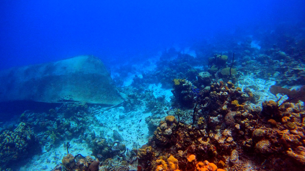 Карибский дайвинг - Куба