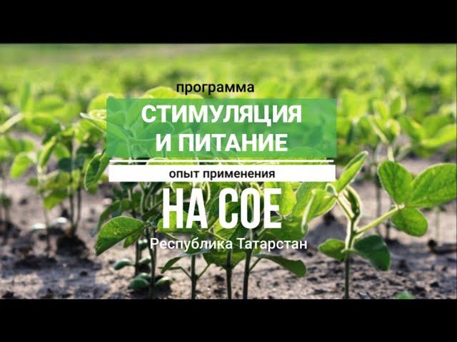 Репортаж с полей. Эффективное применение программы «Стимуляция и питание» на сое