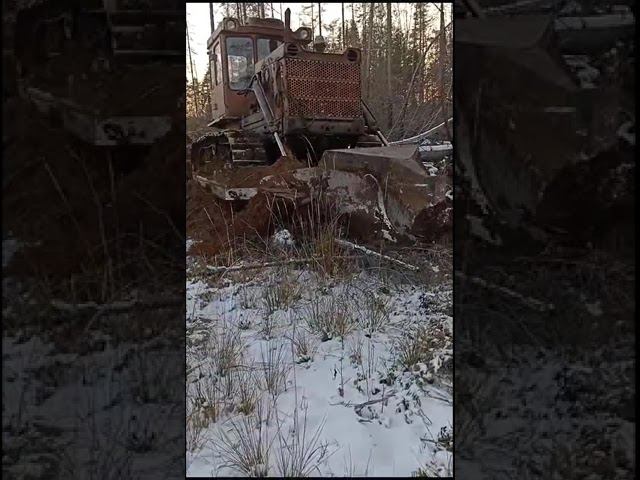 Плуг лесной полосный ПЛП 135 #shorts #плуг #лес