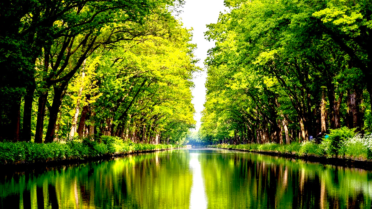 Успокаивающая музыка для сна, снятия стресса и медитации