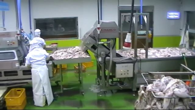 Линия по переработке рыбы Chamco