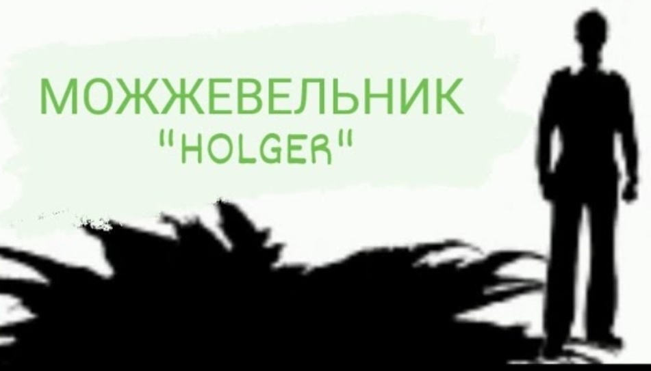 Можжевельник Холгер "Holger"