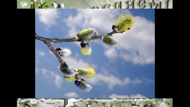 С Вербным Воскресеньем! Вербное воскресенье.  Музыкальная открытка