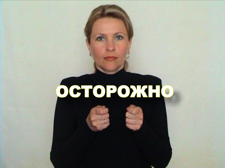 ЖЕСТОВЫЙ ЯЗЫК. СЛОВАРЬ. Осторожно