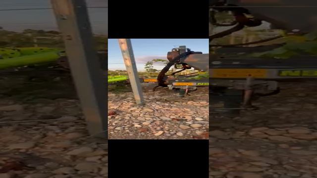 Культиватор виноградный навесной на трактор для междурядной и межкустовой обработки