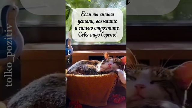 Себя надо беречь!