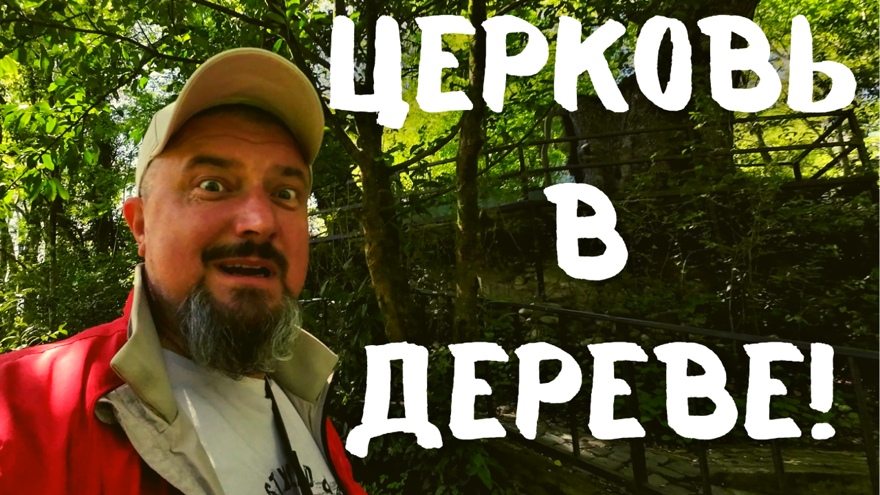 Дуб-часовня! БотСад в день рождения в Кутаиси. #грузия #кутаиси #ქუთაისი