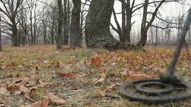 Не каждый поиск - удачный | Коп с металлоискателем