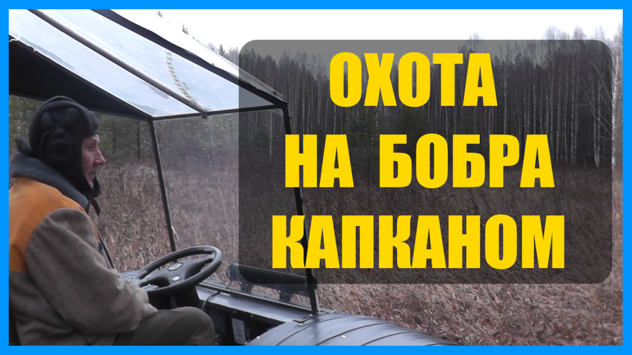 ПОЙМАЛ БОБРА КАПКАНОМ. Установка капкана КП-250. Охота на бобра (ч.3)