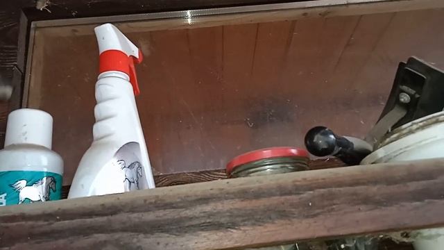 Сможет ли Мартин стать Популярным Блогером? // Затраты на Содержание Лошади Дома