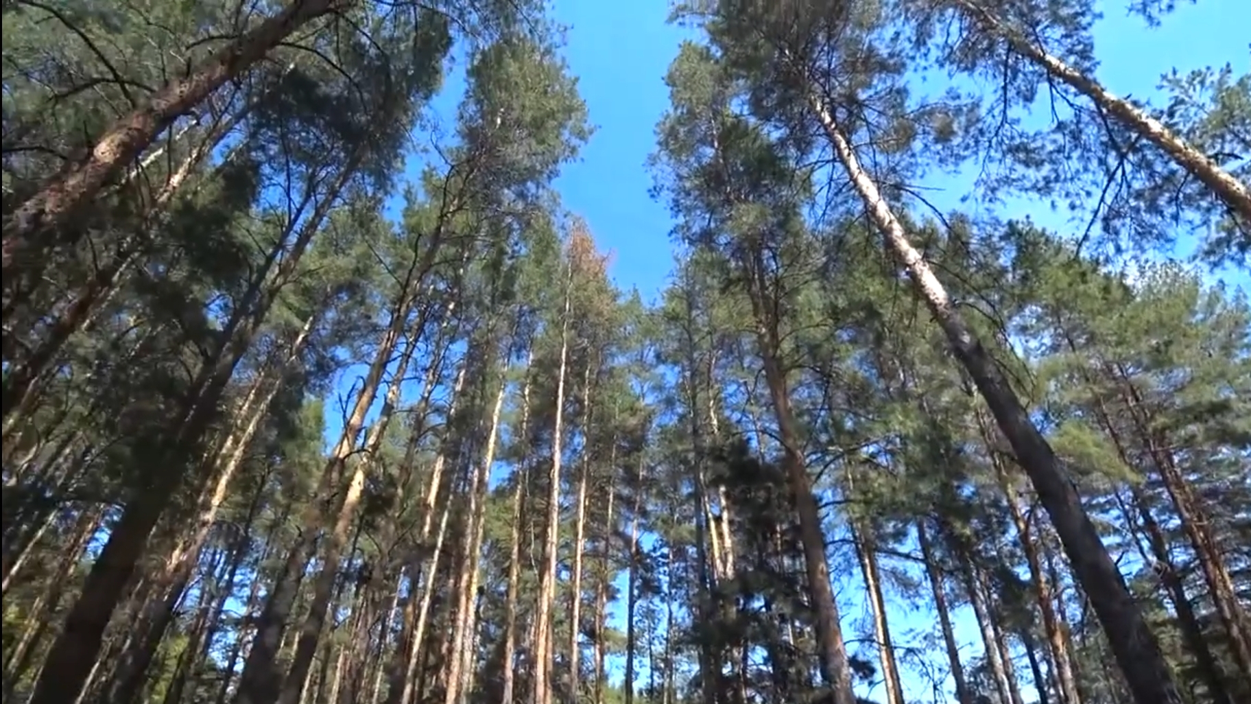 Волгоградская область. Арчединский лес. Михайловка. Фролово. Святой источник.