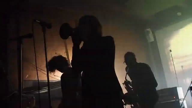 СОБАКИ ТАБАКА-За Горизонт Событий