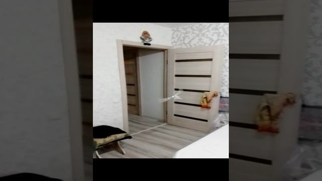 VID_20230127_160651.mp4