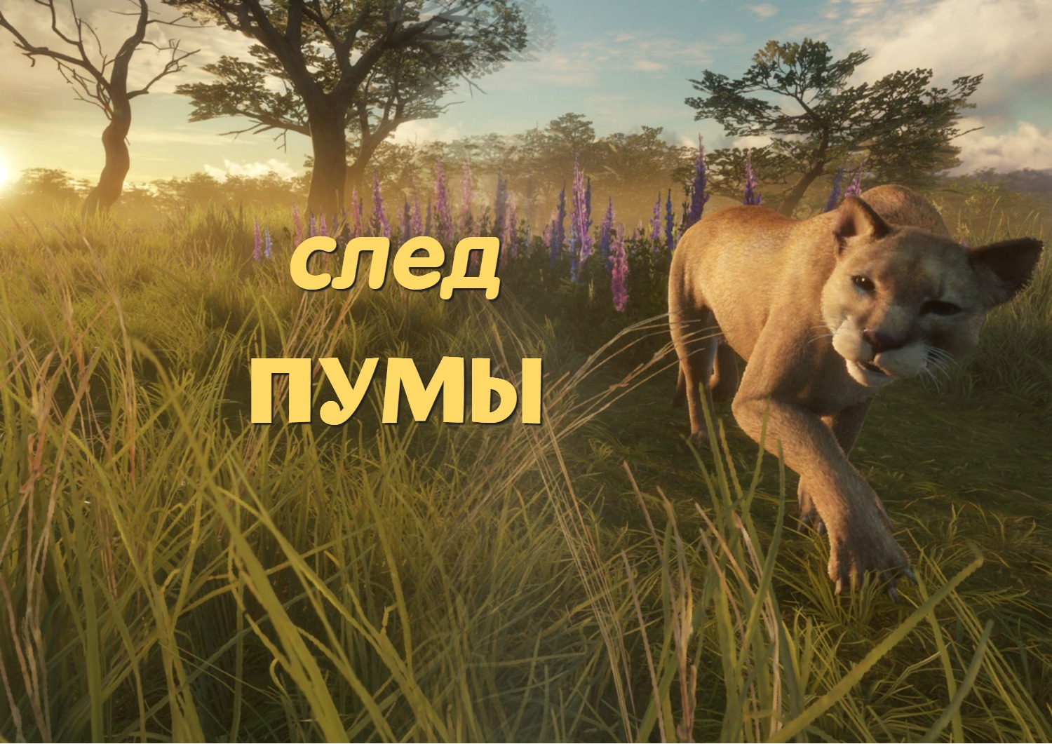 (след Пумы)