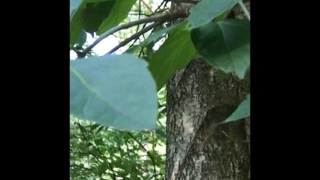 # старославянские приметы # 14 сентября #