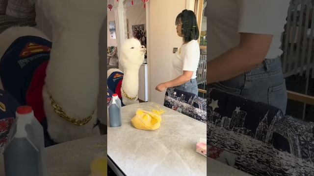 Приколы 2023.mp4