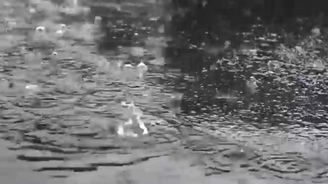 Мне приснился дождь Муз Н Жукова,ст Л Сотниковой,поетГ Погорельская.mp4