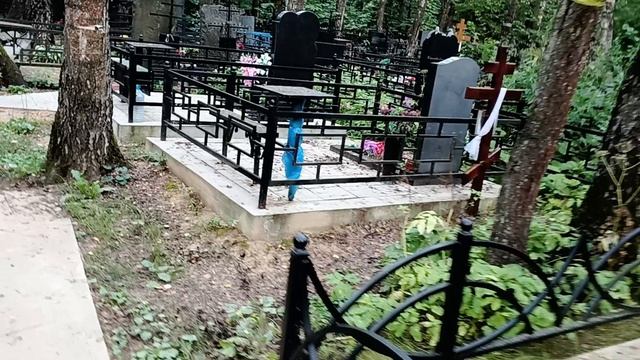 VID_20220810_190427.mp4