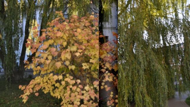 ВЛАДЫЧНЫЙ ВВЕДЕНСКИЙ ЖЕНСКИЙ МОНАСТЫРЬ в СЕРПУХОВЕ