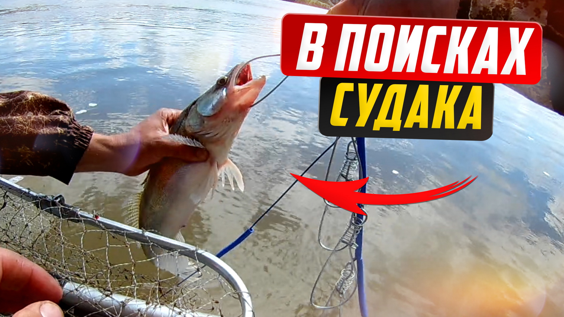 Рыбалка на реке Обь. Судак, щука, окунь.