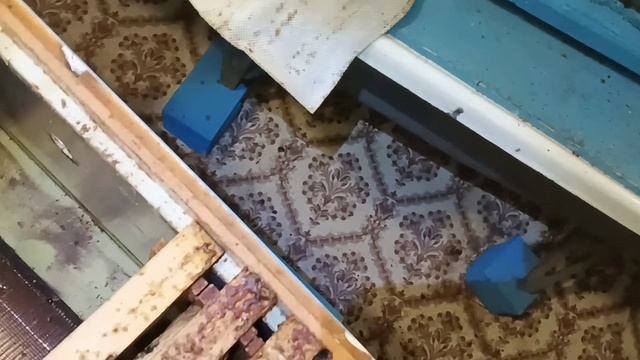 Обработка 2023. Улей № 26 и № 13. Пчеловодство.